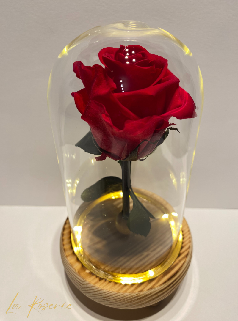 Az örökrózsa üvegben – Tökéletes ajándék – La Roserie